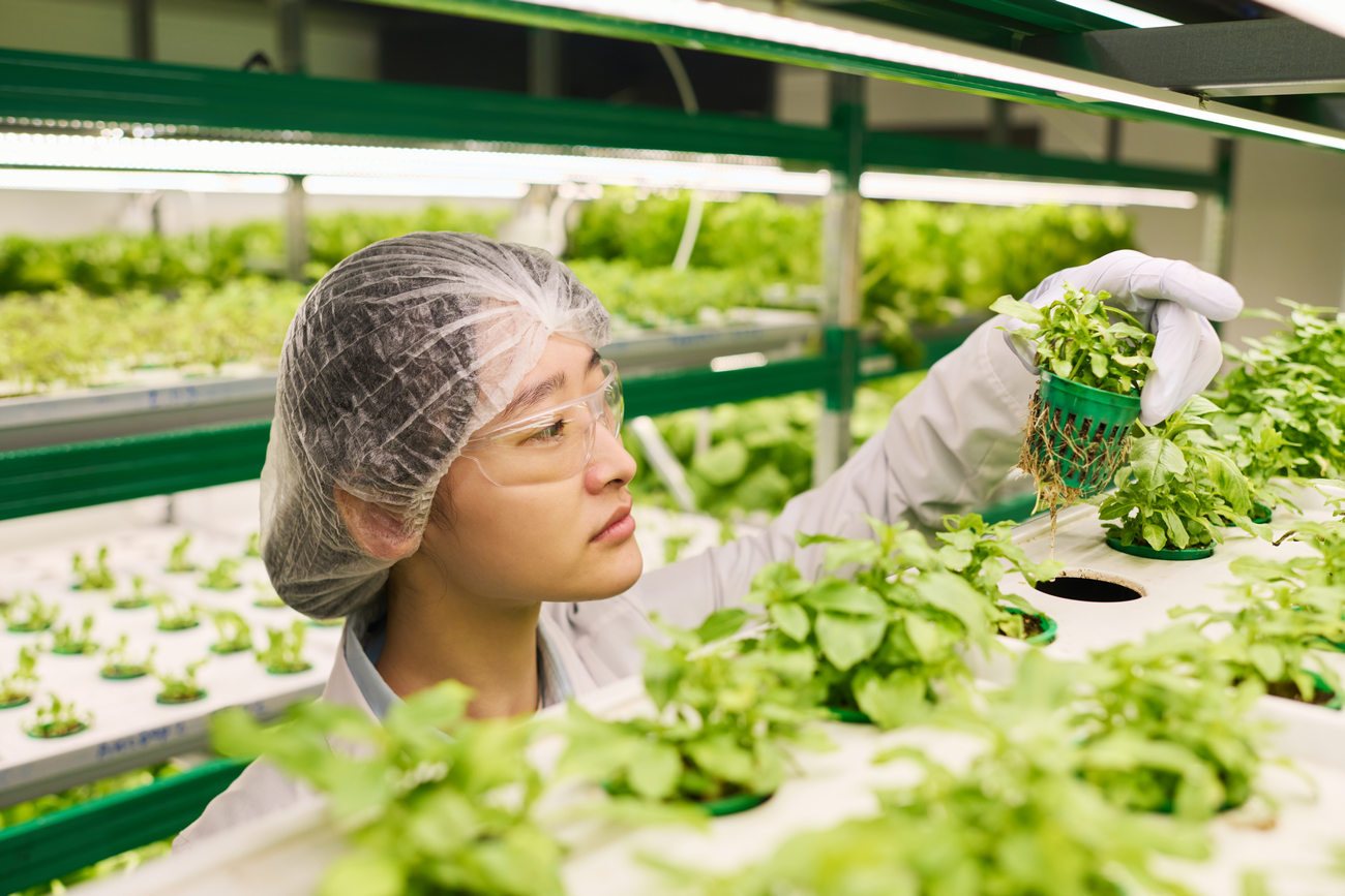 Why Vertical Farming Is The Future Of Food